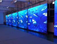 China P3.91 Indoor LED Display 500x1000mm 5500Cd Brightness indoor full color led display full color led for sale