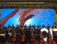 China Indoor Ultra Thin P0.9 LED Advertising Screens cabinet 512*512 Brightness 1500 3G control for sale