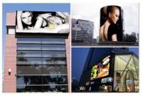 China P10 Outdoor LED Advertising Screen 10000 Dots SMD3535 7500cd Brightness for sale