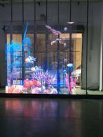 China Indoor P3.91-7.82 Transparent LED Screen 1000x500mm Cabinet 3840Hz Refresh Rate for sale