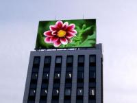 China P3.91 Outdoor Full Color LED Display 500x1000mm Rack Mounted High Refresh Rate 7500cd/m² for sale