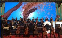 China P10 Die-Cast Aluminum Rental LED Screen 1R1G1B 320x160mm Advertising Display Nova System for sale