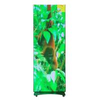China Indoor P2.5mm LED Poster Display Digital Signage Screen 500x1000mm Cabinet for sale