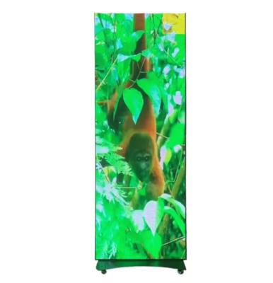 China Indoor P2.5mm LED Poster Display Digital Signage Screen 500x1000mm Cabinet for sale
