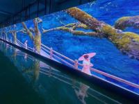 China LED Wall Display / P4 Indoor Advertising LED Display , 62500 Dots / Square Meter Density for sale