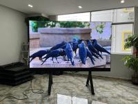 China P3.91 Die-Casting Aluminum Rental LED Display 250x250mm 65410 pixels/m² RGB Screen for sale