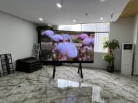 China 3.91mm Pixel Pitch 5000 Nits RGB Flexible LED Display Panel HD WiFi for sale