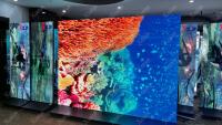 China Outdoor P8 Full Color LED Display 256x128mm Module SMD 1R1G1B 15625 Pixels for sale