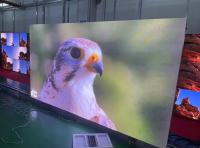 China Indoor P8 Rental LED Display Screen Full Color 1/4 Scan 256x128mm Cabinet for sale