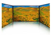 China P6.67 Outdoor LED Billboard Screen 320x160mm High Brightness 7500cd for Rental and Fixed Installation for sale