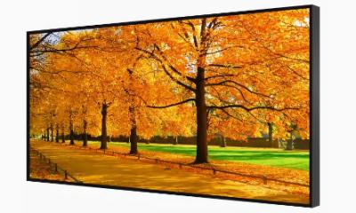 China 1500 Brightness SMD Based LED Display Screen with Iron Or Die-casting Aluminum for sale