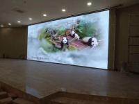 China P4.81 9500K Transparent LED Screen 250x250mm Indoor Die-Cast Aluminum HD Video Display for sale