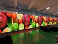 China P3.9 P4.81 Rental LED Panel 500x500mm 500x1000mm Indoor Concert Screen High Definition for sale
