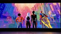 China Outdoor LED Screen P2.6 P3.9 Stage Events LED Display Wall Panel 500x1000mm Rental Video Wall for sale