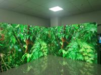 China P1.875 P2.5 Indoor Full Color LED Display Screen SMD1010 800nits DC5V for sale