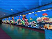 China Indoor P2.6 LED Display Full Color 160000 Pixels/m² 500x500mm Module for Rental for sale