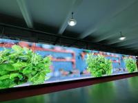 China Full Color LED Display HD for sale