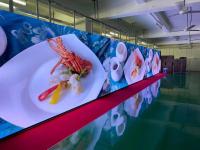 China Indoor P2 Fine Pitch Full Color LED Display Screen 320x160mm Module for Stage Wedding Halls for sale