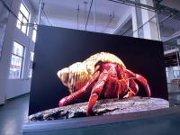 China P10 Outdoor Stadium Perimeter Full Color LED Display 320x160mm 3000Hz for sale