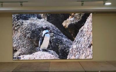 China High Density 640000dots/m2 3. Fine Pixel Pitch LED Panel with Standard CE/ROHS/FCC Certification for sale