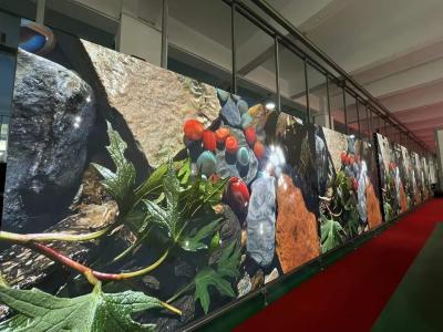 China Outdoor Full Color LED Display 5500 Nits SMD2121 IP65 147456dots/sqm for sale