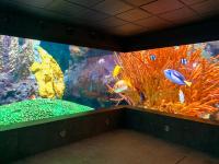 China P3.91 Rental LED Display Screen Die Casting Aluminum 65410 Pixels per Sqm 7500cd Brightness for sale