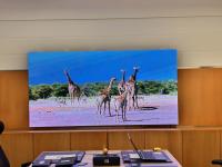 China P5 SMD Outdoor Full Color LED Display 320x160mm Module 7500cd Brightness for sale