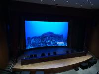 China Rental Die-Casting Aluminum Waterproof LED Display 256x128mm P10 Stadium Perimeter Screen for sale
