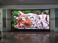 China Rental P4.81 Full Color LED Billboard 1/13 Scan High Resolution IP65 Waterproof 250x250mm for sale