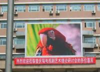 China P12 Outdoor LED Billboard High Brightness 7500cd/m² IP65 Rental Display for sale