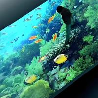 China Revolutionize Your Space with Our 20W Interactive LED Floor in Single Colours for sale