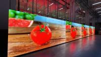 China P4.81 Rental LED Display 500x1000mm Cabinet 3000:1 Contrast 438W/m2 for sale