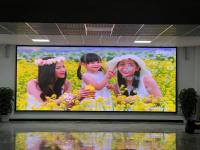 China Stage LED Screens featuring 64 by 64 module resolution and 250 by 250 millimeter module size for flexible configuration for sale