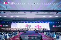 China Outdoor Stage LED Screen P3.91 P4.81 P5.95 500x1000mm Durable Cabinet High Pixel Density for sale