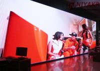 China P4.81 Indoor Flexible LED Display Screen 250x250mm Module for Stadium Large Wall for sale