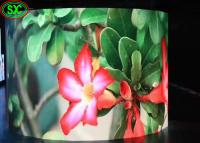 China P4.81 Curved LED Video Wall Screen - 6500cd Brightness, 500mm×500mm Cabinet, IP65 Rated for Outdoor Use for sale