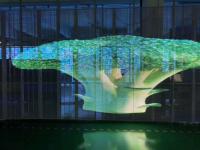 China High Brightness Transparent LED Screen Full Color SMD2121 4mm Pixel Pitch 62500dots for sale
