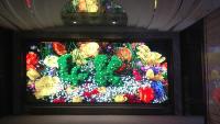 China SMD3528 LED Screen 27778 Dot Density 192x192mm Module Indoor Video Wall for sale