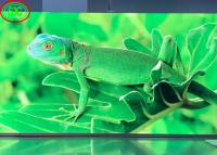 China High Resolution Rental LED Display Screen P2.6 P4.81 With CB IECEE SASO Certification led display screen for sale