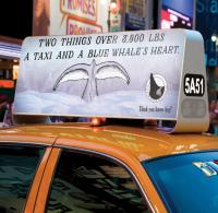 China P6 Full Color LED Car Roof Sign Display Waterproof Double Sided Taxi Screen 192x192mm for sale