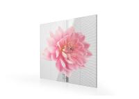 China P3.91-7.82 Transparent LED Screen 1000x500mm Full Color 2000cd Indoor Outdoor Display for sale