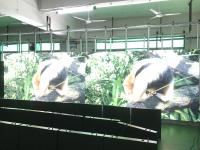 China Lightweight Aluminum Indoor LED Display Module Panel With Waterproof Grade IP43 for sale