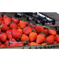 China Indoor P2.5 GOB LED Display Panel 320x160mm Full Color Stage Screen Waterproof for sale