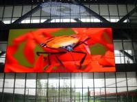 China P3.91 Indoor SMD LED Display 250x250mm Module 64x64 Pixels for Stage Rental for sale