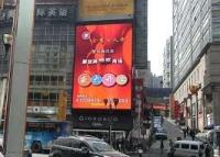China Outdoor P8 Full Color LED Display Module 256x128mm 15625 Pixels per sqm 3 Year Warranty for sale