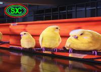 China Certified RGB LED Display 5000 Nits Outdoor Full Color 140/60 Viewing Angle for sale