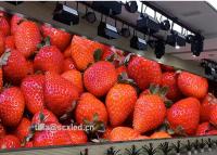 China Customized P6 Indoor LED Stage Screen Rental / RGB LED Display Boards With Remote Controls for sale