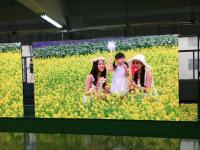 China P4 Indoor Outdoor SMD2121 LED Stage Video Wall Screen 4mm Full Color 62500pixels/m2 for sale