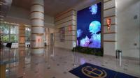 China Indoor LED Video Wall Screen P2.6 P3.91 P4 SMD Full Color Rental Display 1920Hz for sale