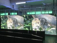 China Full Color HD Small Pitch Stage LED Screen P2 512x512mm Die Cast Aluminum Frame for sale